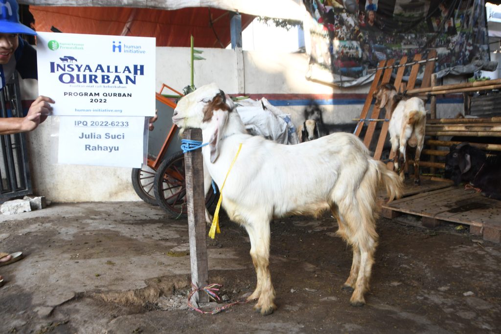 Kenapa Harus Membeli di Pusat Kambing Qurban Resmi?